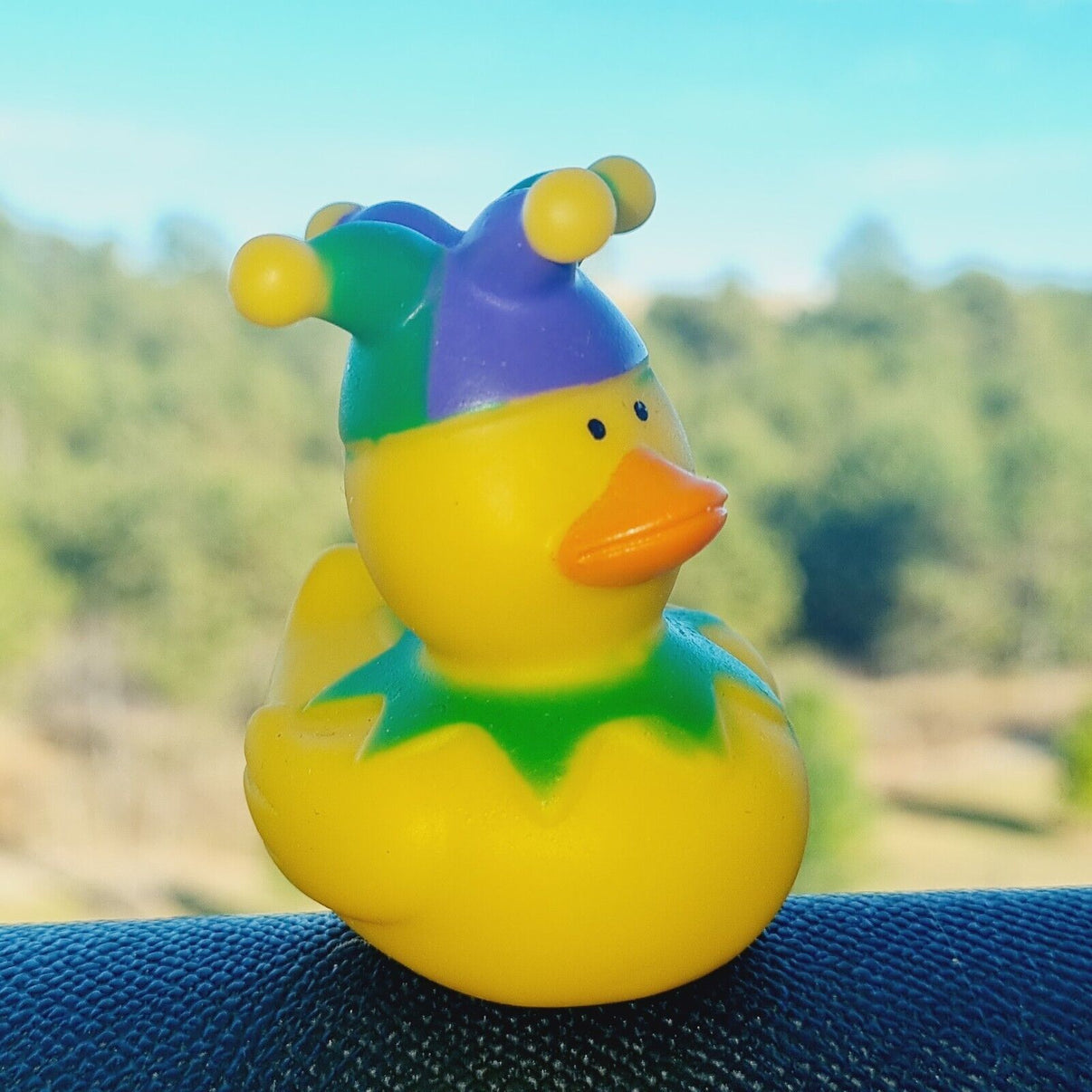 Jester Rubber Duck – Fun Jeep Ducking & Dashboard Decoration – Duck Stories